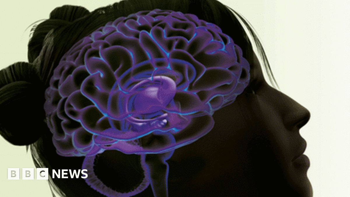 Brains may be wired for addiction - BBC News