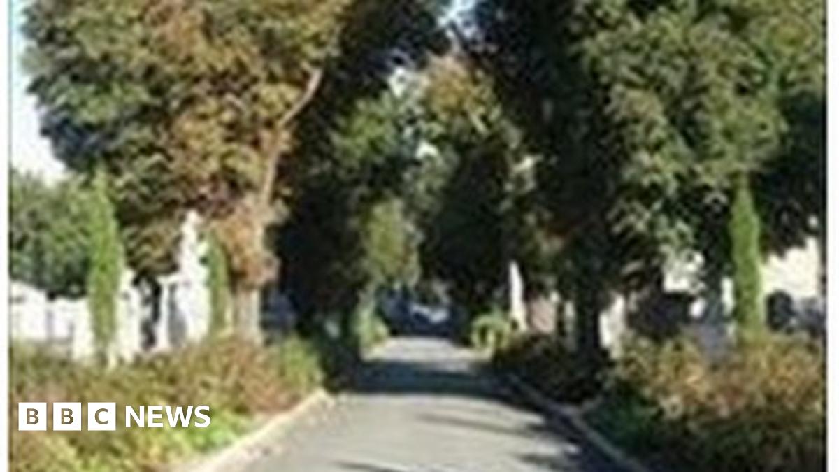 Irish minister considers Bethany Home inquiry call - BBC News