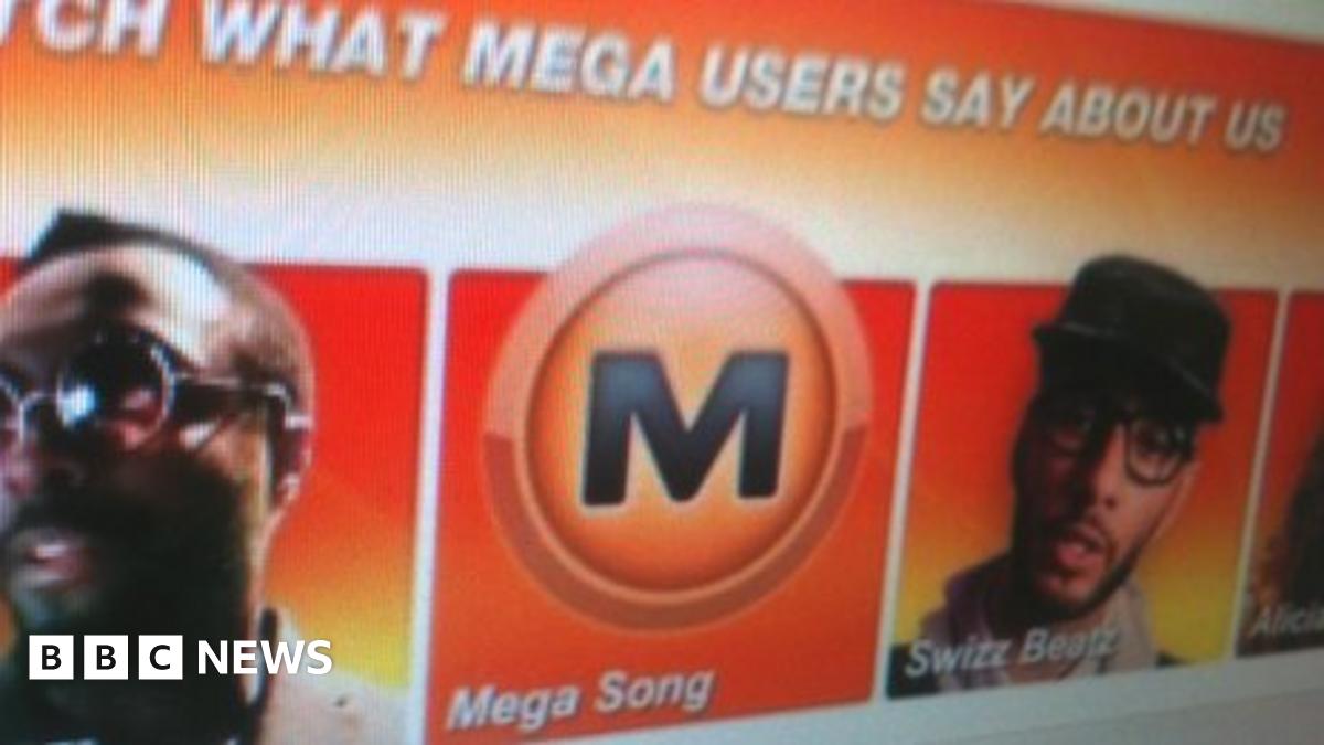 Police made 'errors' during raid on Megaupload boss - BBC News