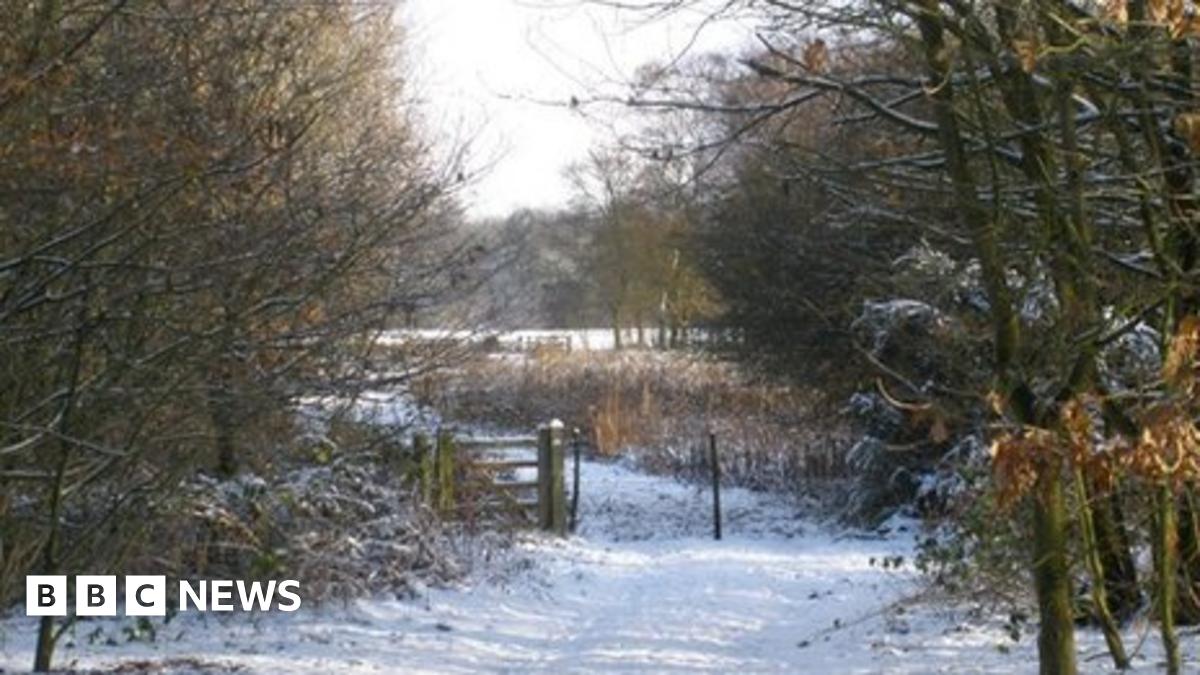 Heavy snow predicted for Suffolk - BBC News