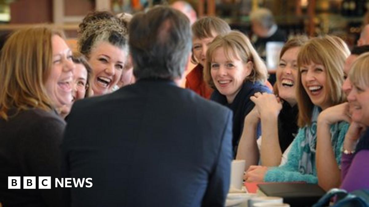 Cameron takes Swedish lesson in wooing women - BBC News