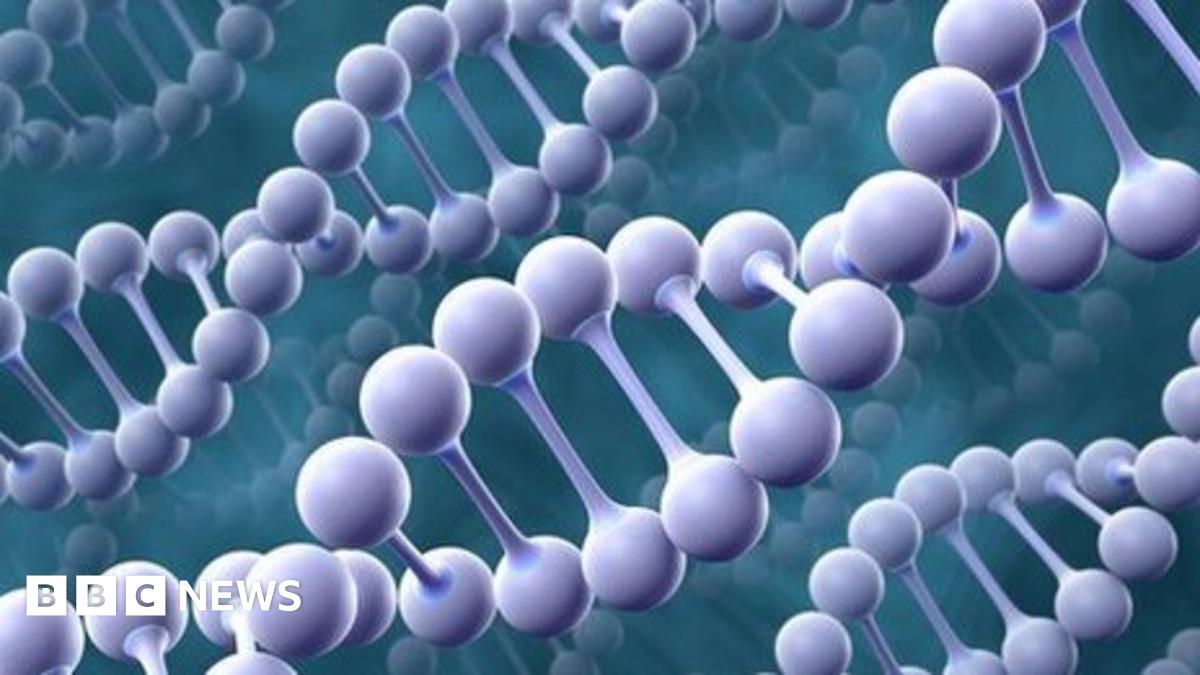 'DNA robot' targets cancer cells - BBC News