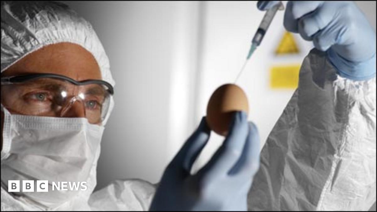 US bioethics panel approves bird flu studies - BBC News