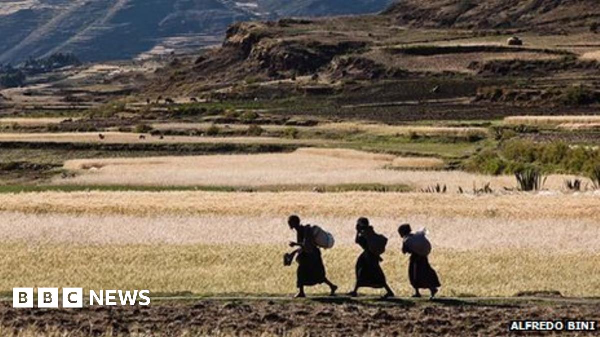 Analysis: Land grab or development opportunity? - BBC News