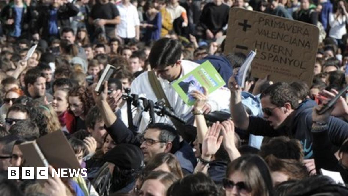 Spain protest over riot police beatings in Valencia - BBC News