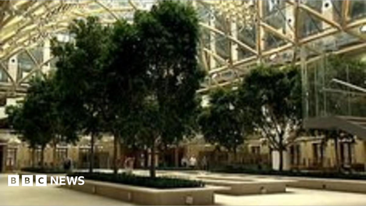 Commons seeking cheaper fig tree deal for Portcullis House - BBC News