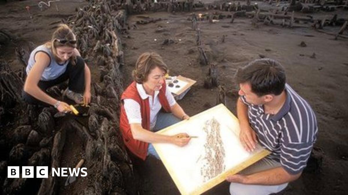 Flag Fen archaeology idea brings in public to dig deep - BBC News