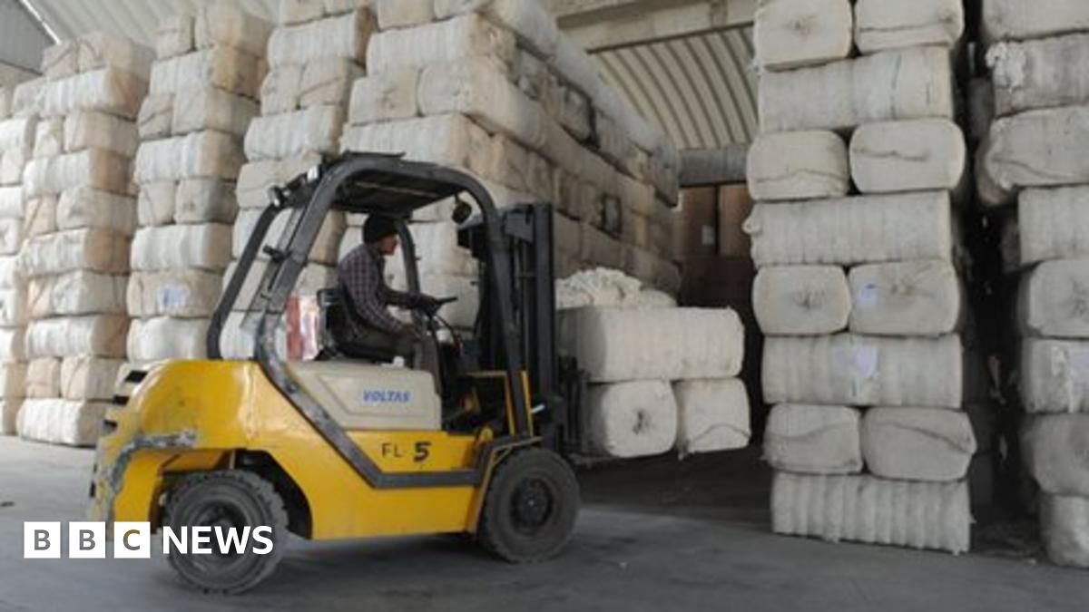 India bans all cotton exports with immediate effect - BBC News