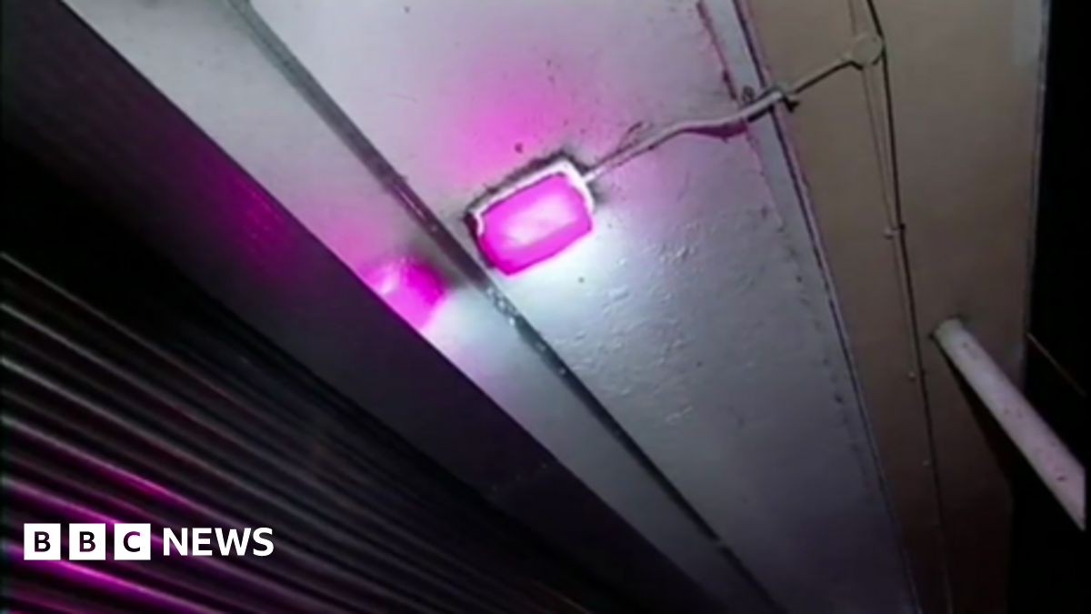 Pink Cardiff street lights plan 'to deter Asbo yobs' - BBC News