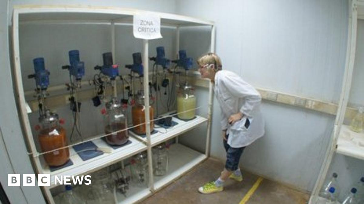 Biomining: How microbes help to mine copper - BBC News