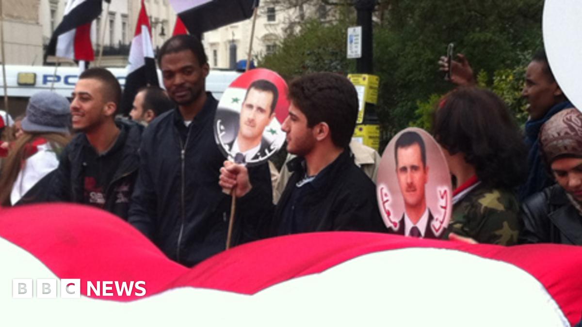 We support Syrian president, say pro-Assad protestors - BBC News