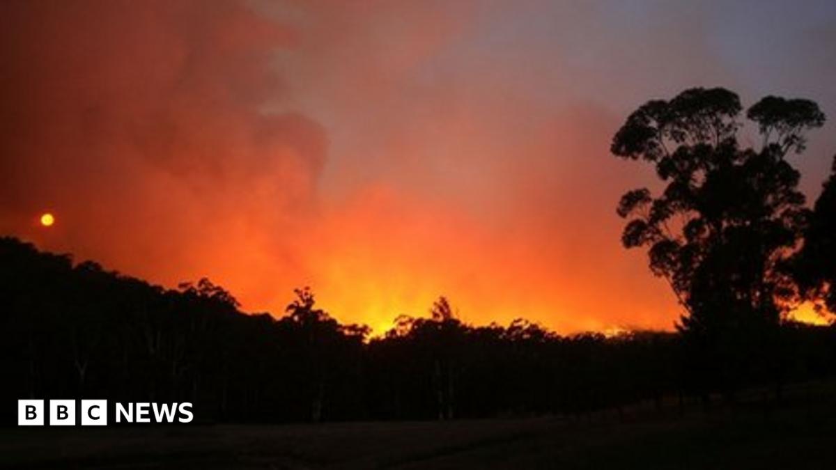 Court finds Australian man guilty of bushfire in 2009 - BBC News