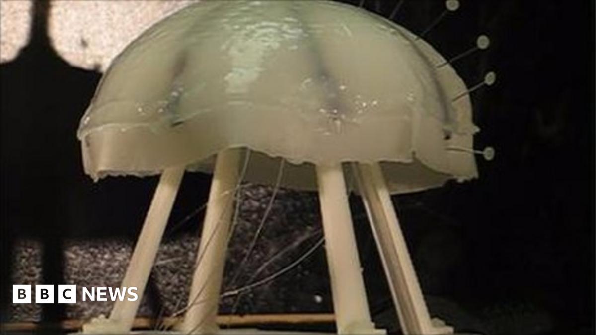 Robotic jellyfish fuelled by hydrogen invented - BBC News