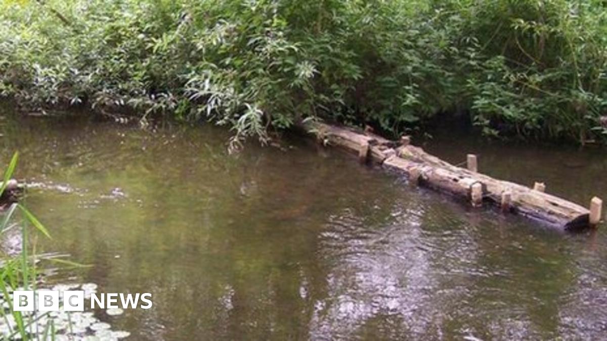 Work on River Darent aims to help Kent trout spawn - BBC News