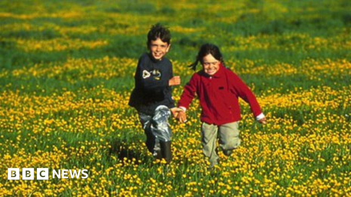 Nature deficit disorder 'damaging Britain's children' - BBC News