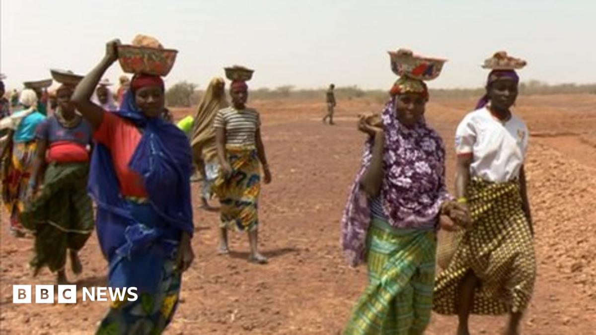 Niger's complicated hunger crisis - BBC News