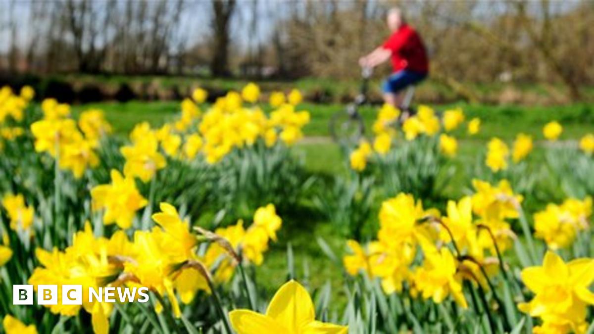 Spring sunshine sets Scottish temperature record for March - BBC News
