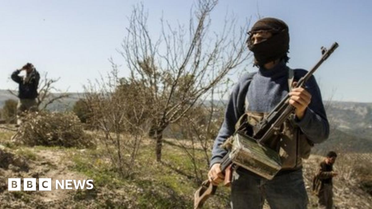 Syrian-American brothers in arms join Syria fight - BBC News