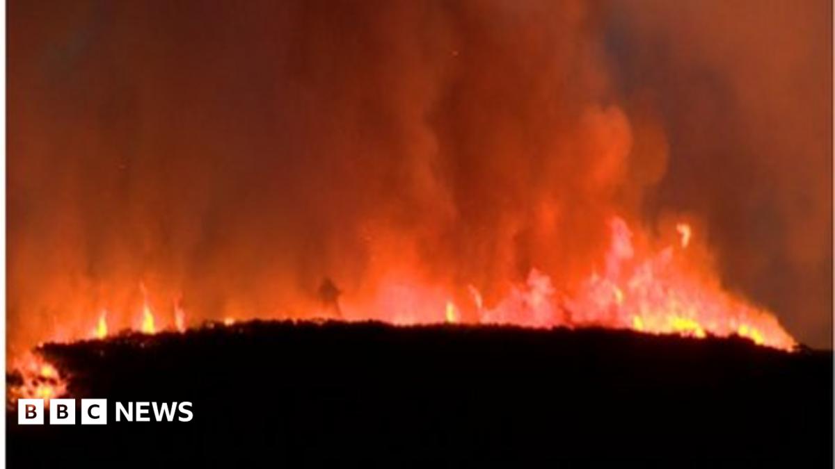 Gorse fires in Northern Ireland 'will cost lives' - BBC News