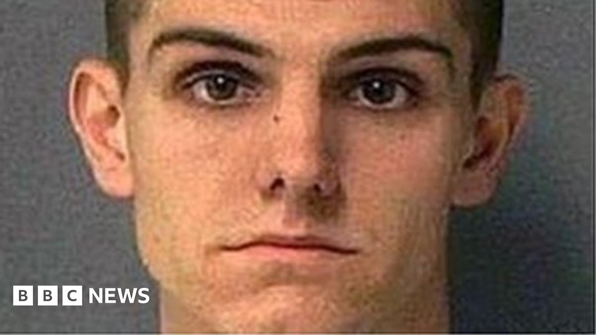 Hutaree militia leader David Stone admits gun charge - BBC News