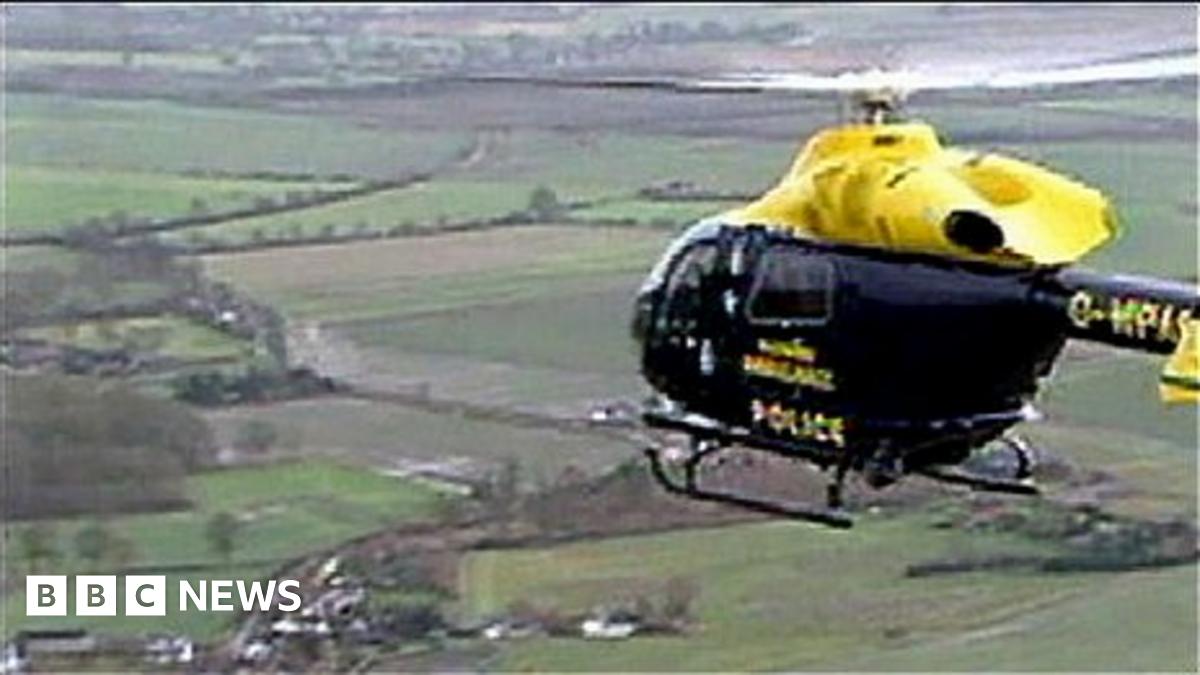 Fuel theft suspect hid in manure from police helicopter - BBC News