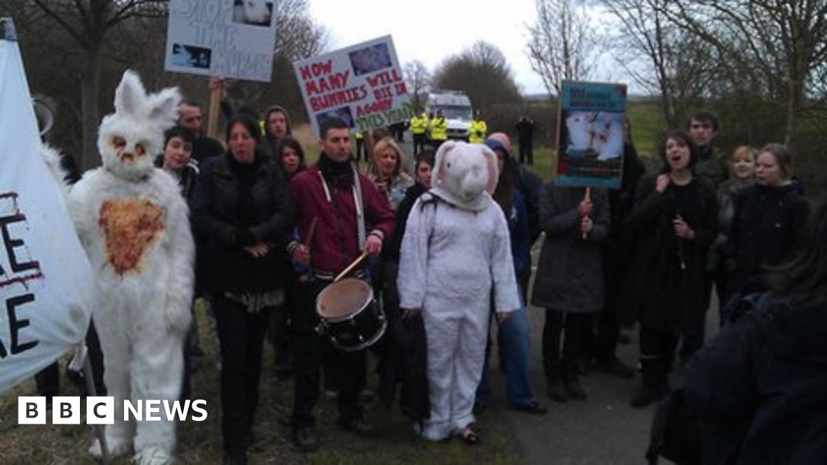 Protest at Highgate Farm against breeding rabbits for research - BBC News