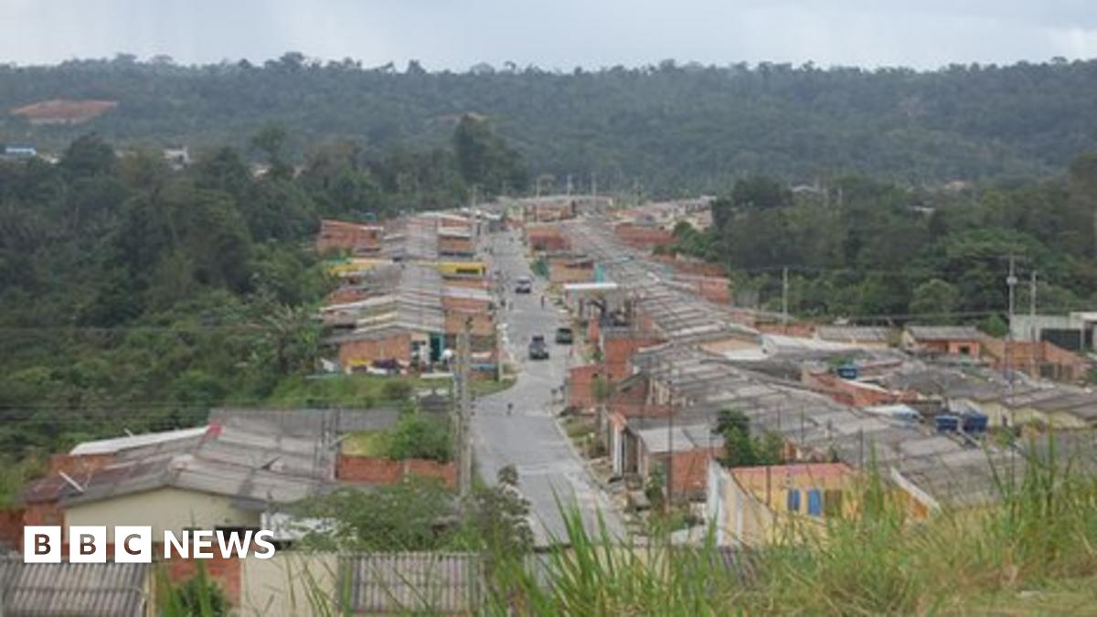 Brazil's Amazon boom pits economic growth versus forest - BBC News