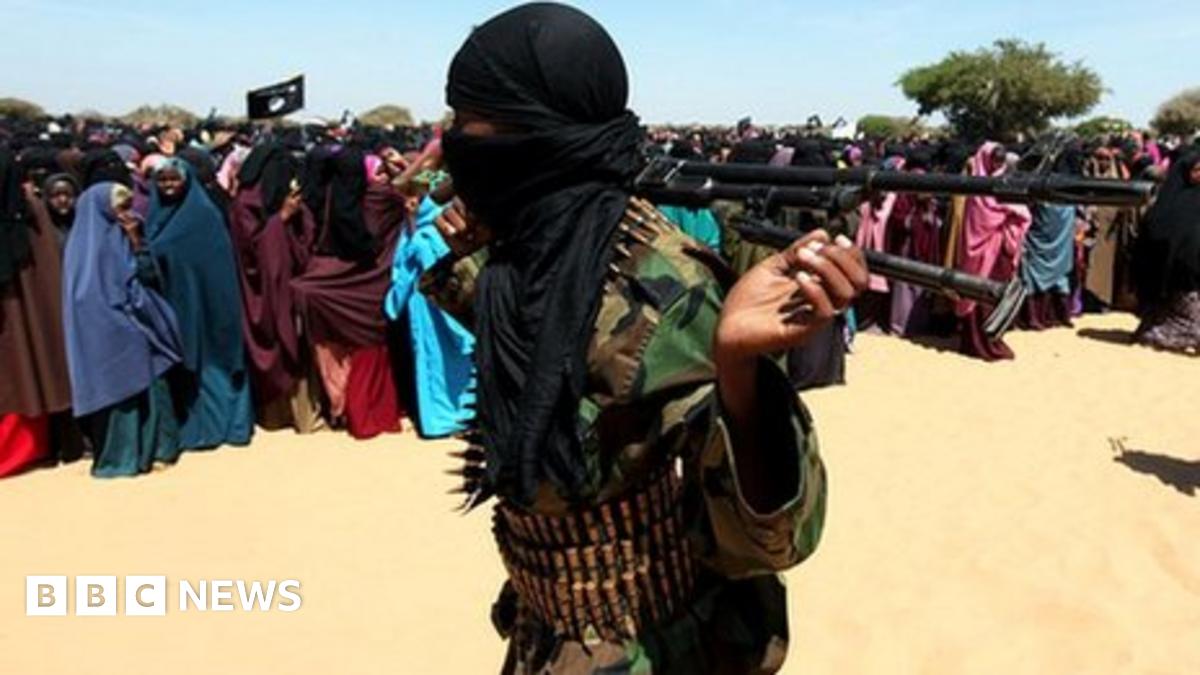 Coming face to face with Somalia's al-Shabab - BBC News