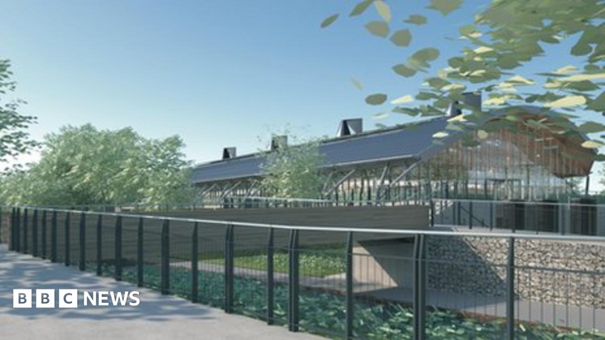 Woking's pedestrian Bedser Bridge opens over canal - BBC News