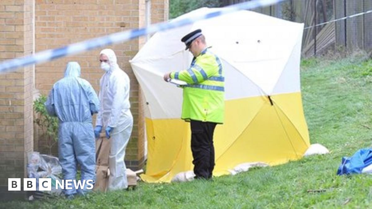 Police watchdog IPCC investigates tower block fall death - BBC News