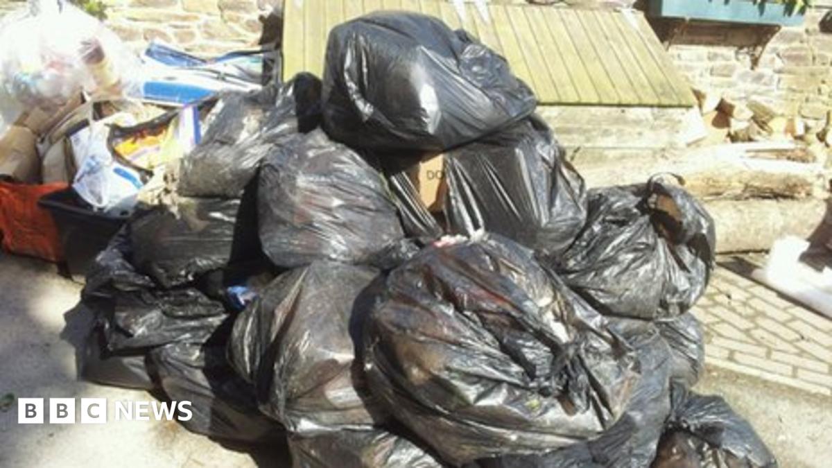 Missed Cornwall bin collections calls top 1,000 a day - BBC News