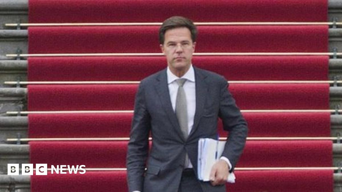 Dutch government falls in budget crisis - BBC News