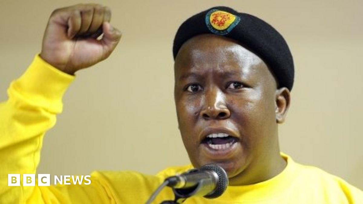 Final nail in Julius Malema's political coffin? - BBC News