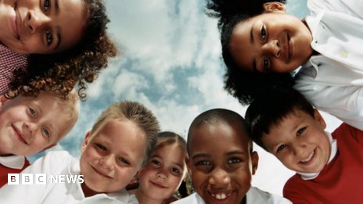 Independent schools reflect UK's ethnic mix, data shows - BBC News