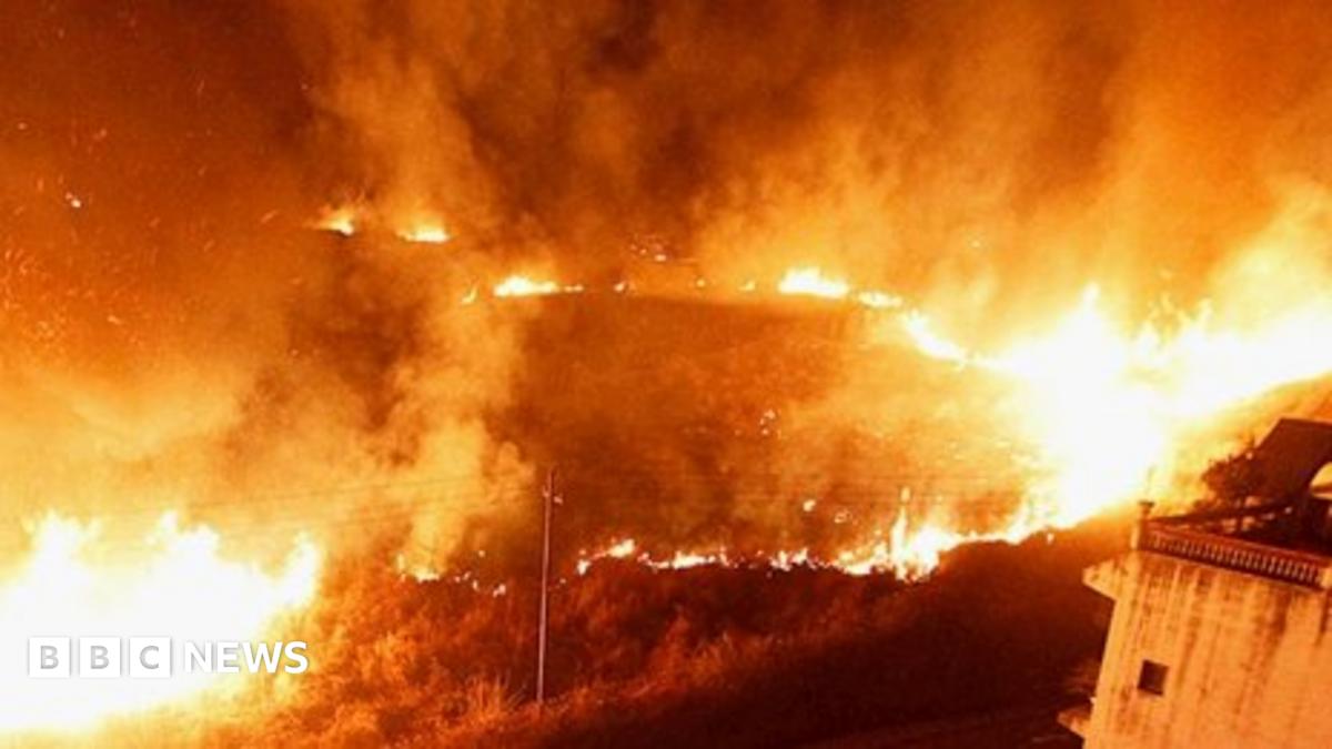 More than 220 forest fires spread across Nepal - BBC News
