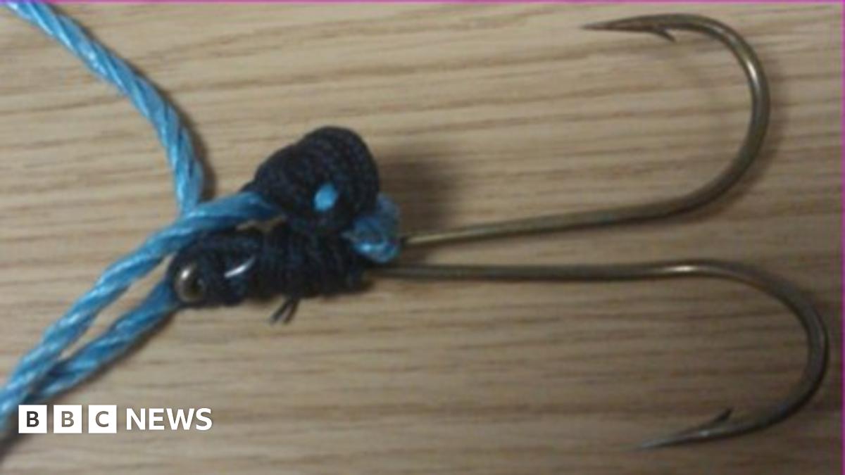 Two badger snares seized by Cornwall wildlife police - BBC News