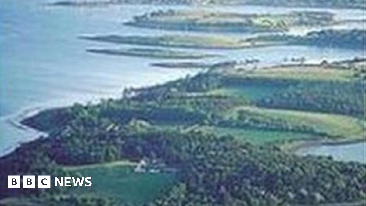 Human skull is found in Strangford Lough - BBC News