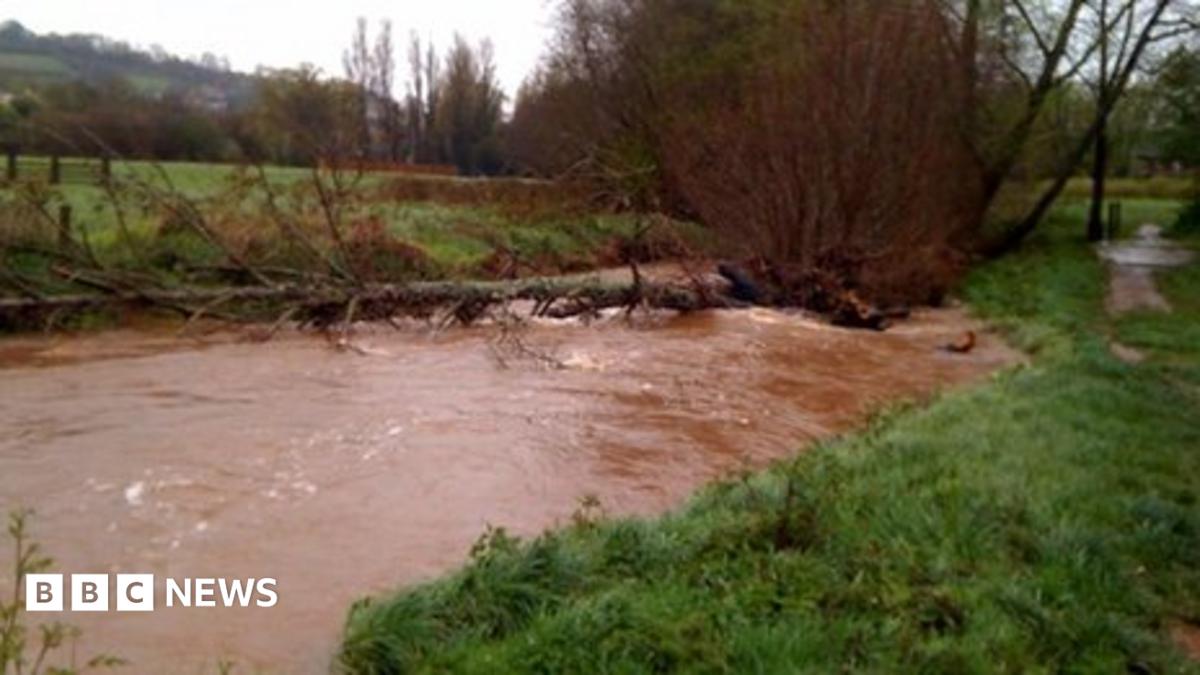 Three Devon rivers on flood warnings - BBC News