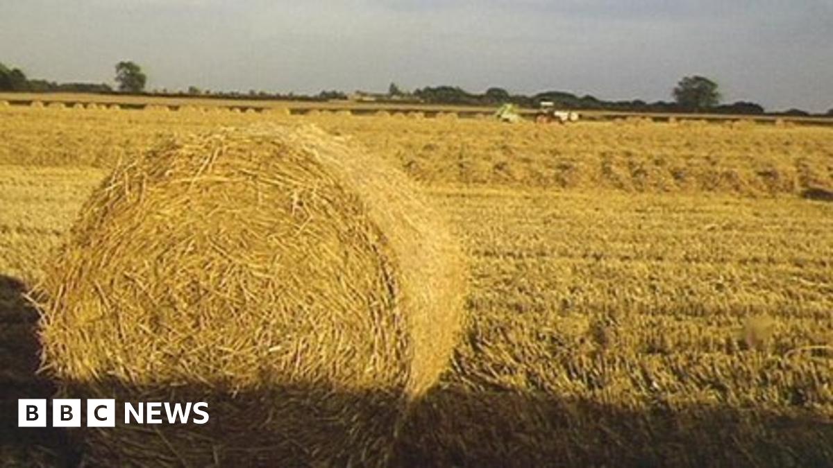 Sleaford straw power plant will benefit Lincolnshire farmers - BBC News