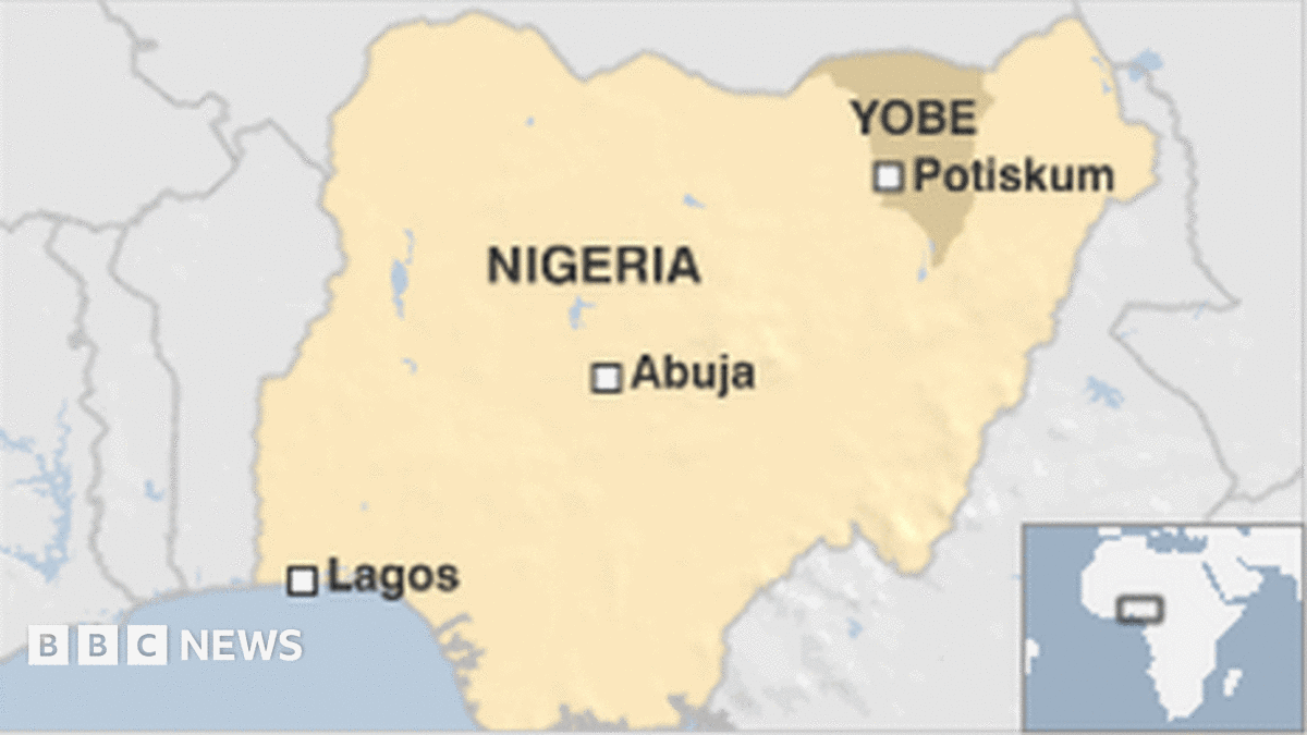 Nigeria's Potiskum cattle market raid 'kills dozens' - BBC News