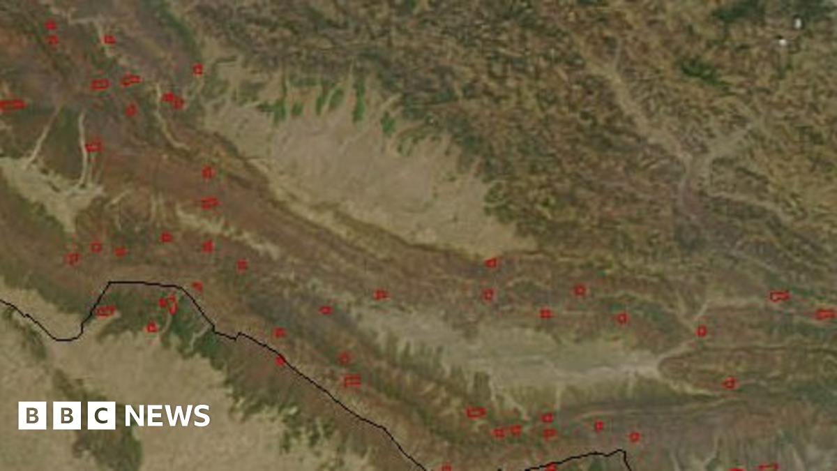 Nepal forest fires 'cause big wildlife loss' - BBC News