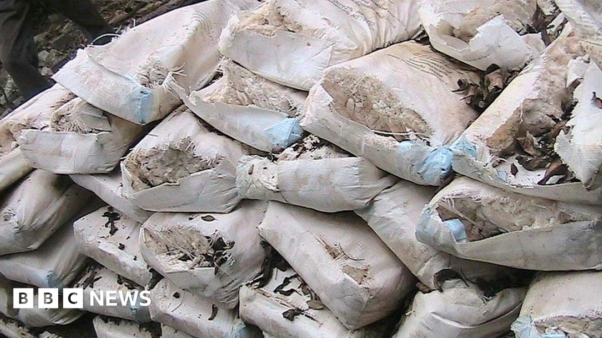 Sri Lankan forces 'uncover huge haul of explosives' - BBC News