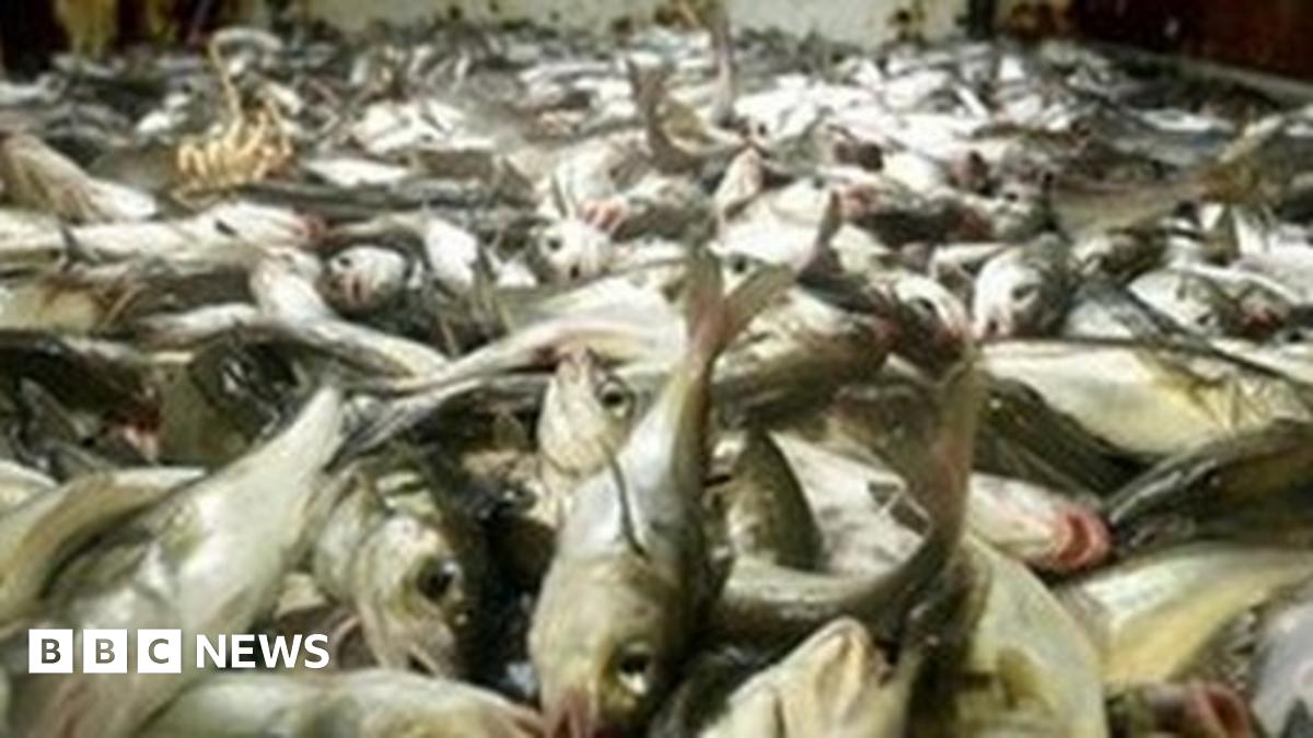 Black fish scam: £1.1m confiscation orders for Peterhead fishermen ...