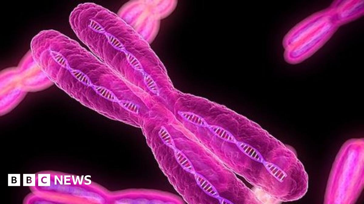 Rewritable DNA memory shown off - BBC News