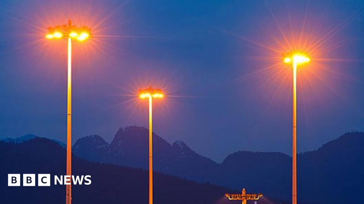 Street lights 'changing ecology on the ground' - BBC News