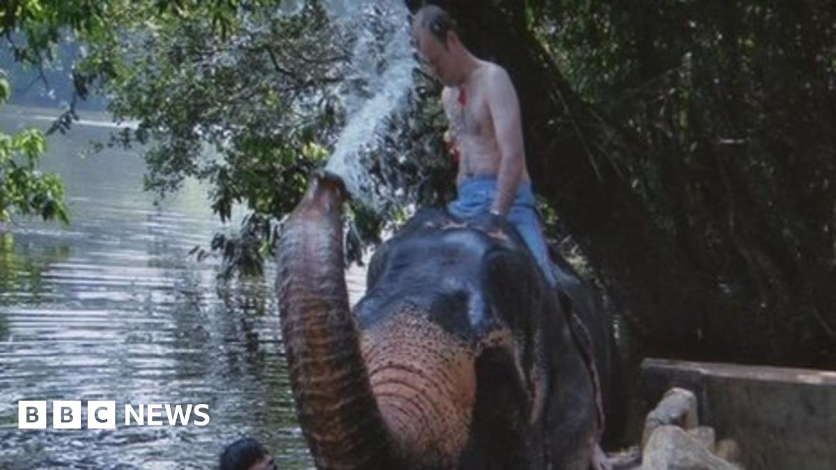 Ian Turton's body found after he went missing in India - BBC News