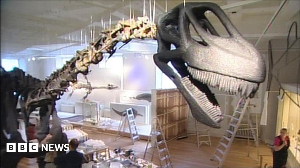 Leicester New Walk Museum attracts record visitors - BBC News