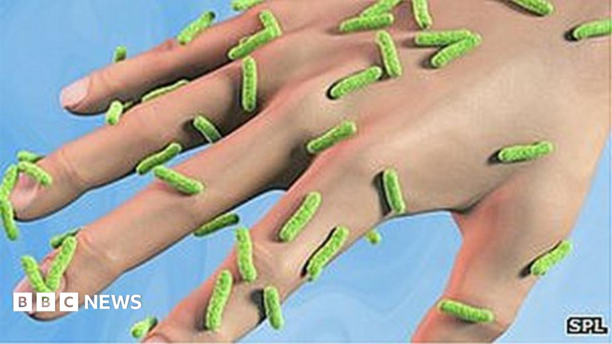 Human Microbiome Project reveals largest microbial map - BBC News