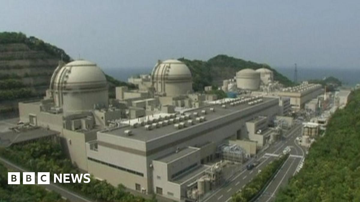 Japan switches on Ohi nuclear reactor amid protests - BBC News
