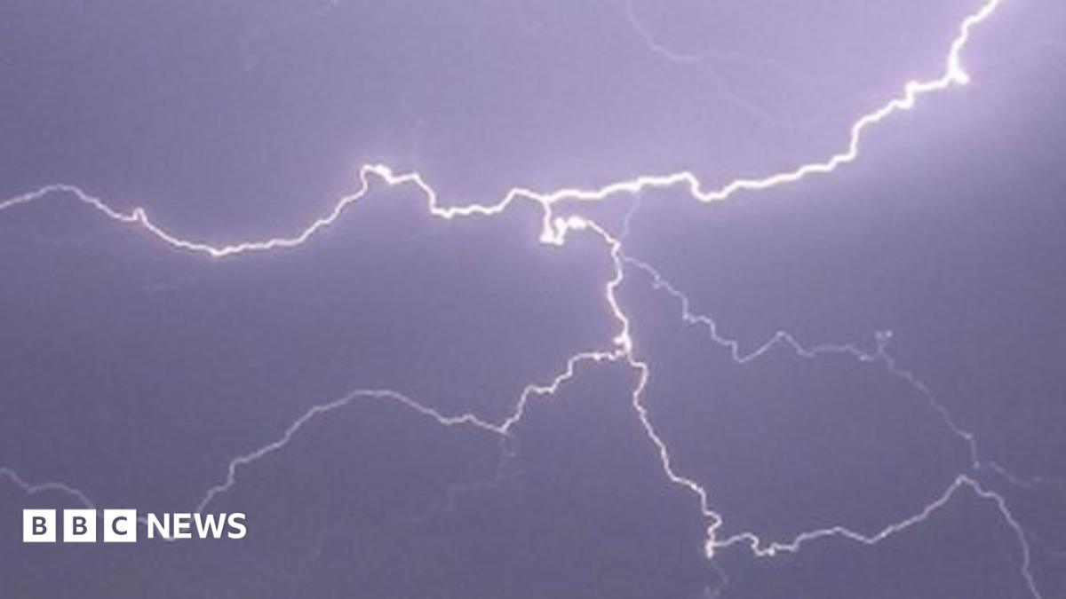 Dog 'killed in lightning strike' in Aberdeen - BBC News